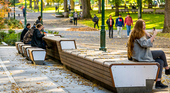 Portfolio - Mayer Reed